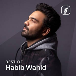 Playlist- Best Of Habib Wahid